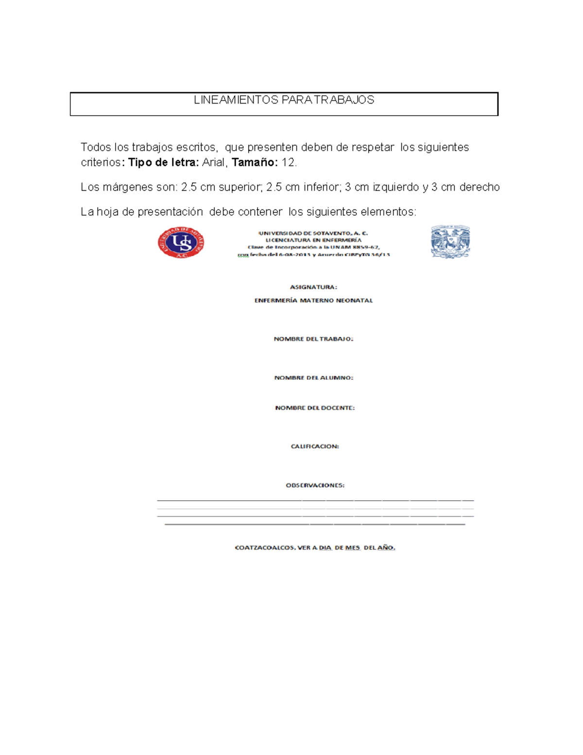 Formatos Proceso Pae - formato para PAE - LINEAMIENTOS PARA TRABAJOS ...