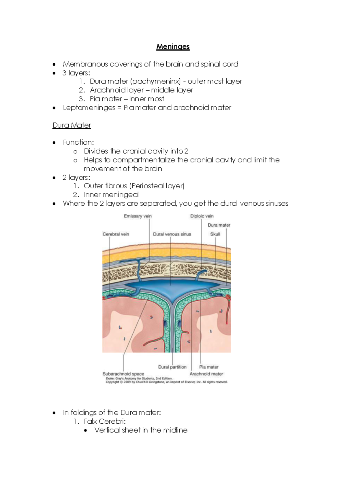 Neuroanatomy summaries - Meninges Membranous coverings of the brain and ...