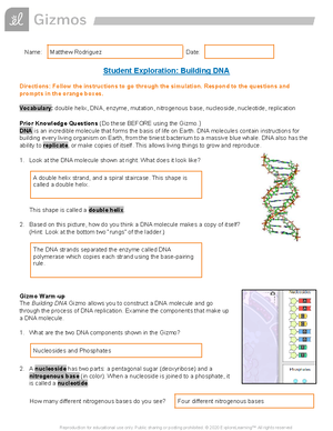 DNA Gizmo - Biology assignment practicing DNA - Name: Matthew Rodriguez ...