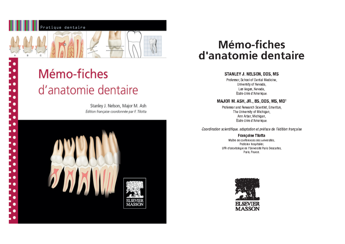 Fichiers - Good - Mémo-!ches d'anatomie dentaire STANLEY J. NELSON, DDS ...