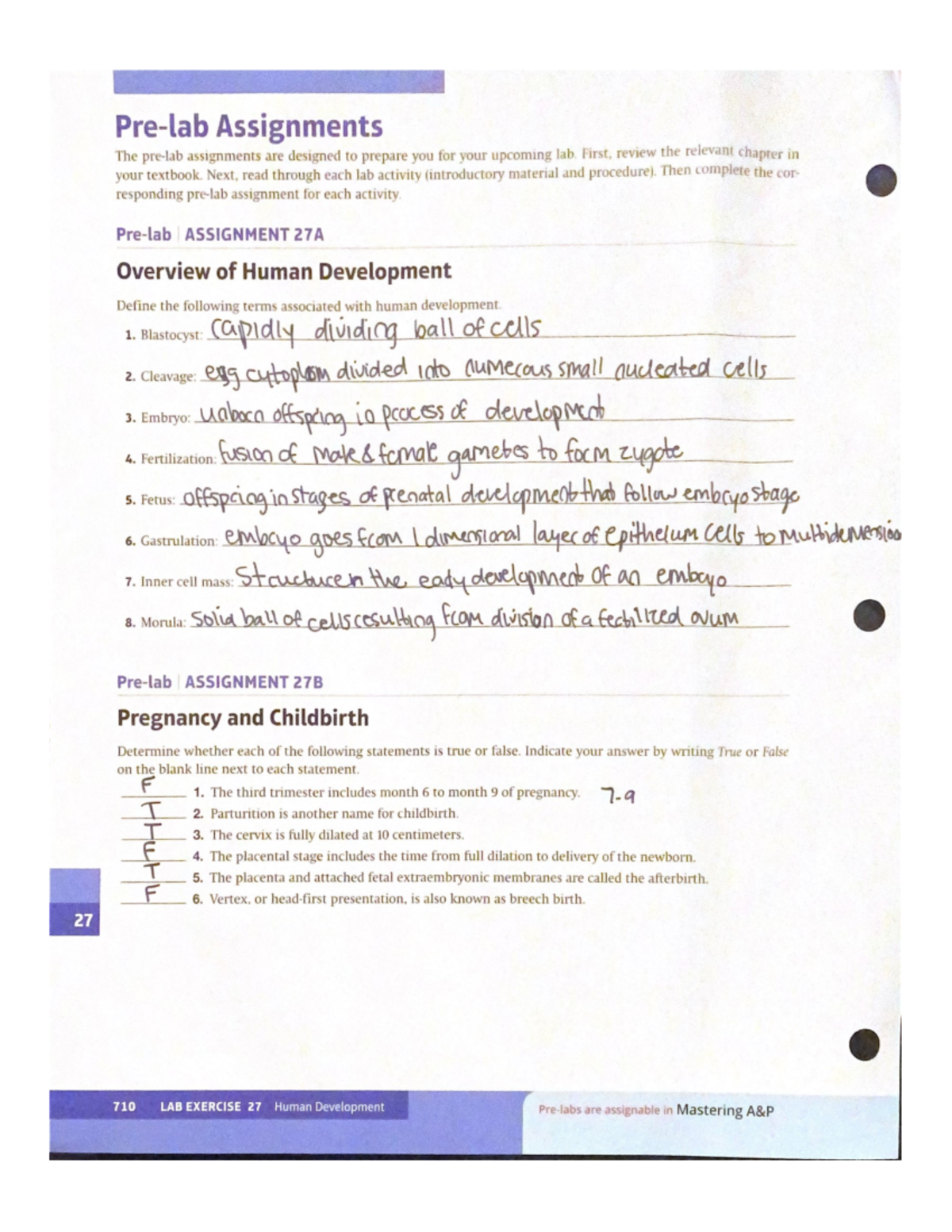 Prelab Human Development - BIOL 430 - Studocu