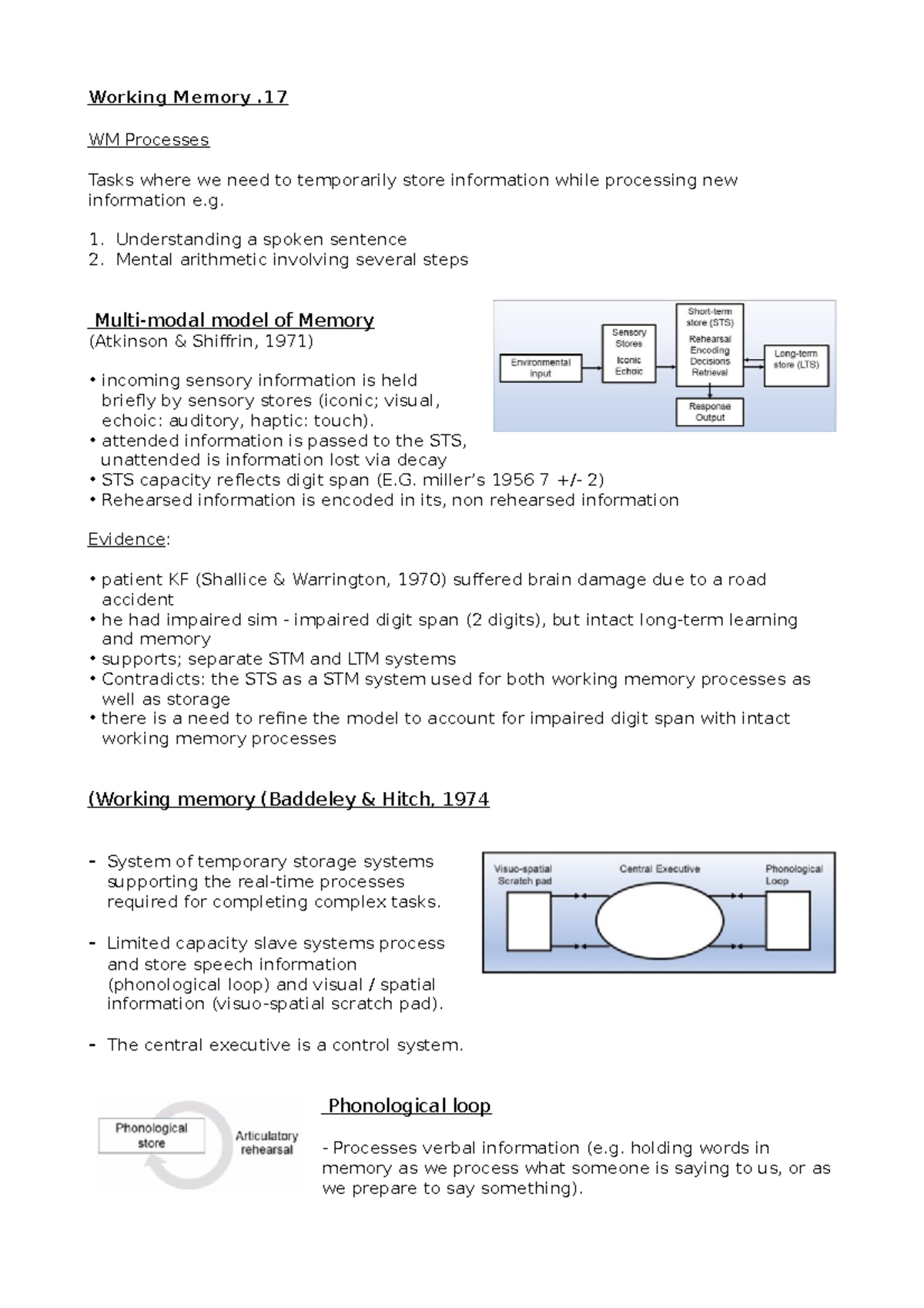 17 Working Memory Lecture Notes 17 Working Memory 17 Wm Processes Tasks Where We Need To