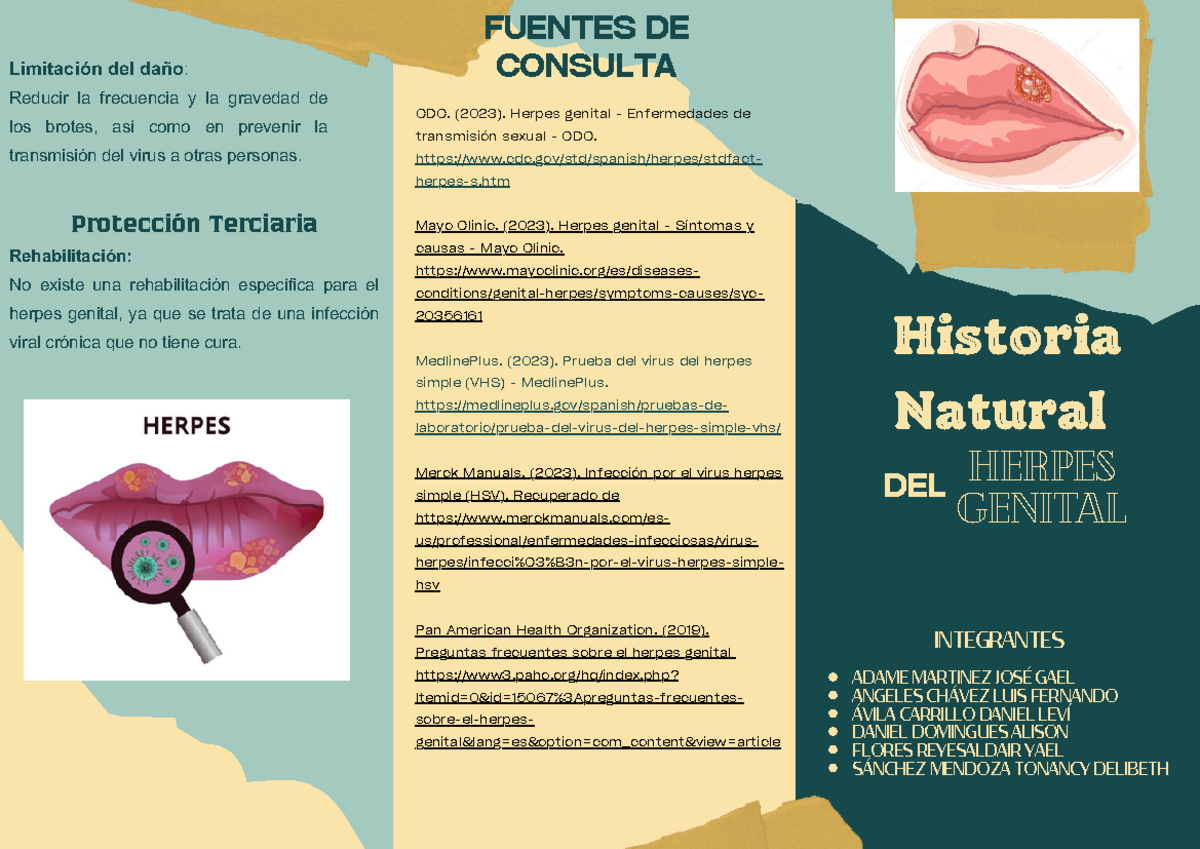 Triptico ETS - tripitico del herpes genital - CDC. (2023). Herpes ...