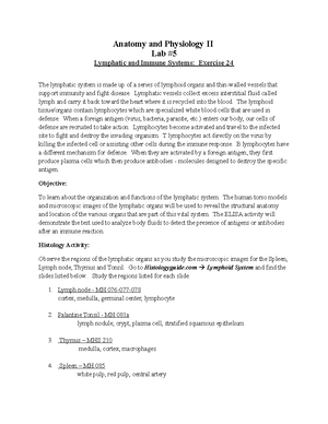 Physio Ex Exercise 12 Activity 3 - pearsoncmg/bc/bc_0media_ap/physioex ...