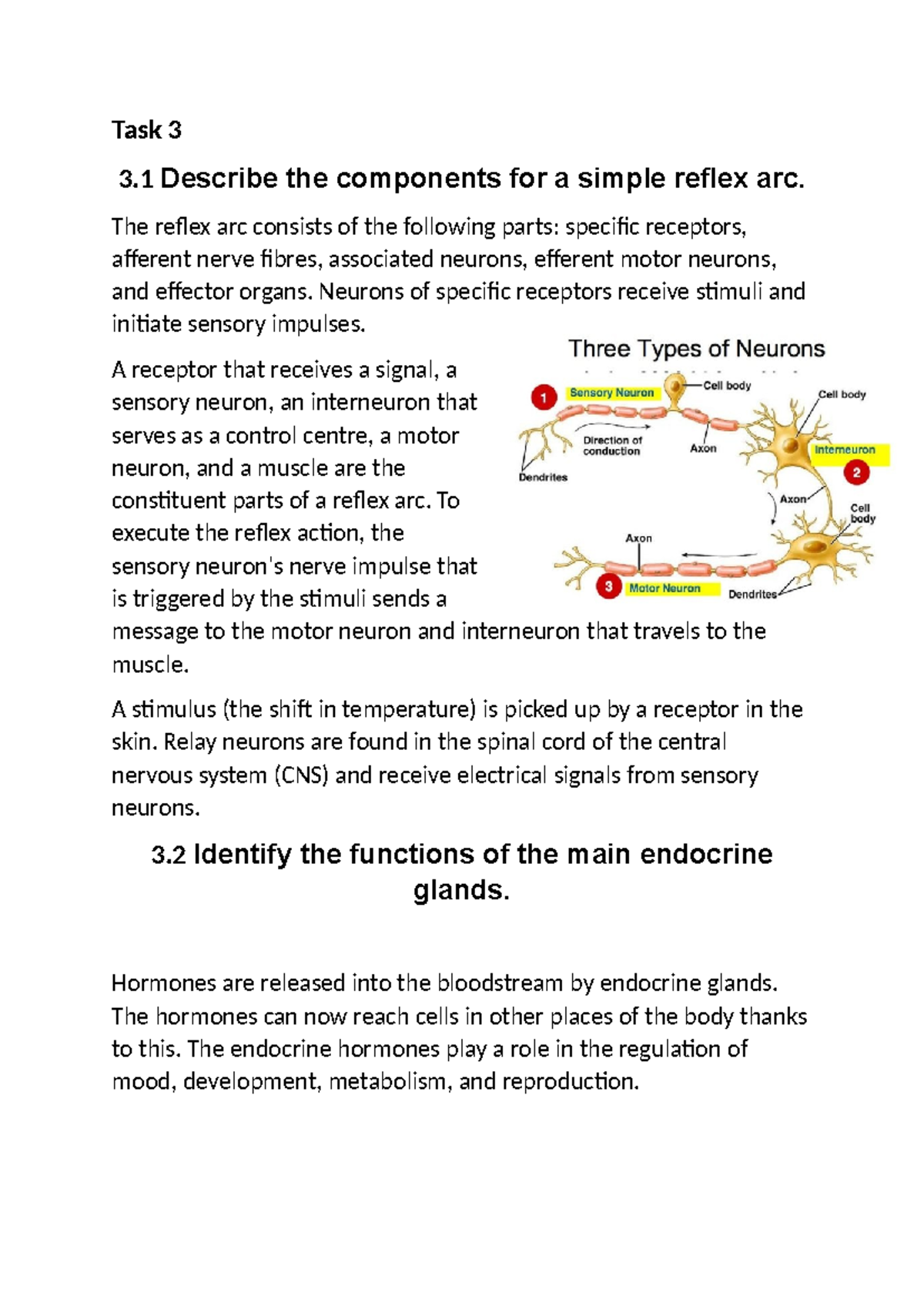 Task 3 - Enzymes - Task 3 3 Describe the components for a simple reflex ...