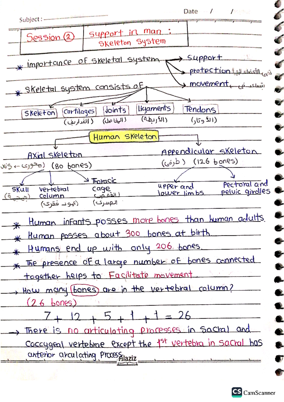 Lec 3 - lllllllll - Cell Biology And Physiology - Studocu