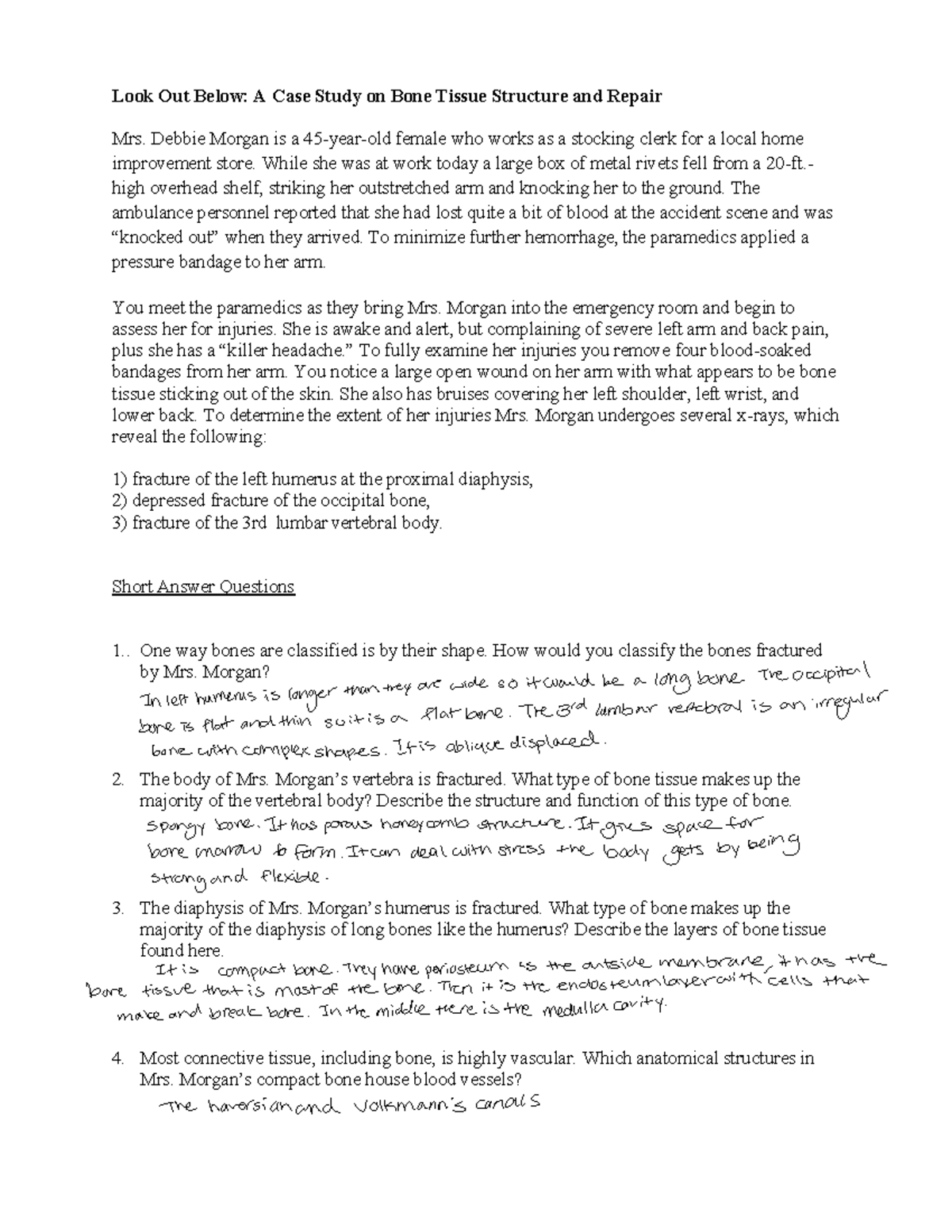 Ch 6 Bone case study - Bones - Look Out Below: A Case Study on Bone ...