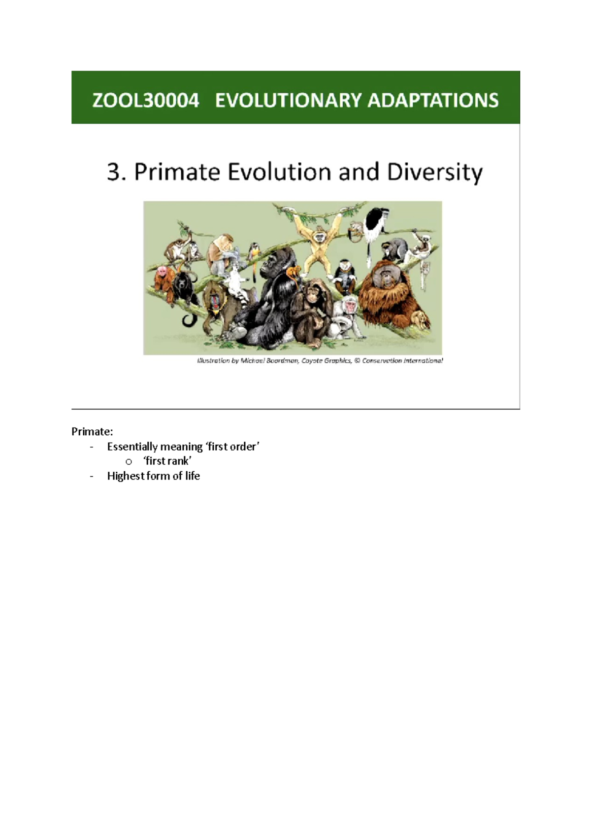 Lecture 3 - Primate diversity and evolution - Primate: - Essentially ...