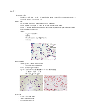 Bio222 Fa2022 6A - Document regarding lab - Bio222 Week 6A Media ...