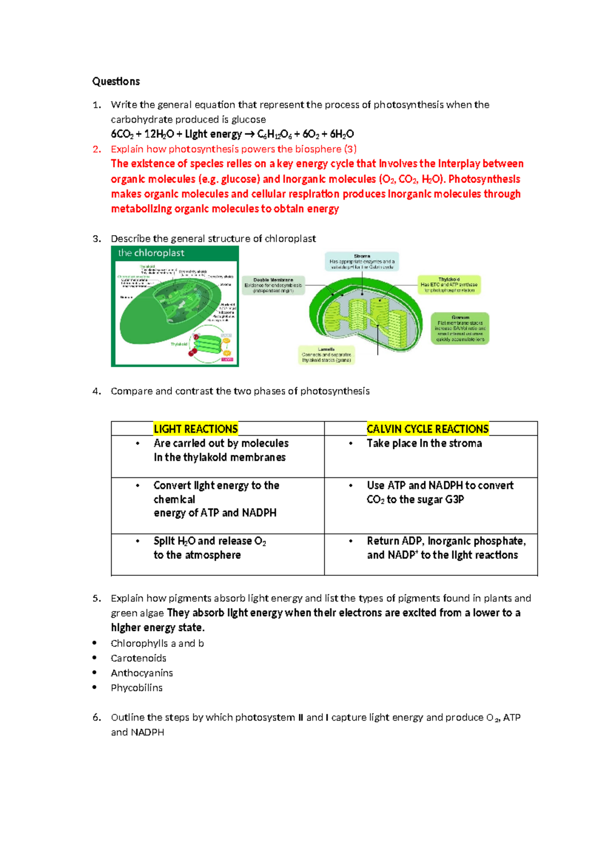 Photosynthesis Tutorial with Answers - Questions Write the general ...