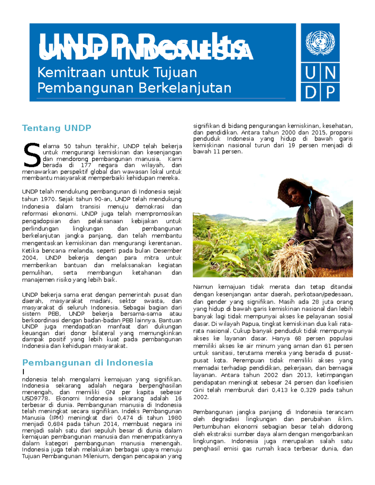 UNDP Indonesia Partnerships for the SDGs edited - Tentang UNDP ...