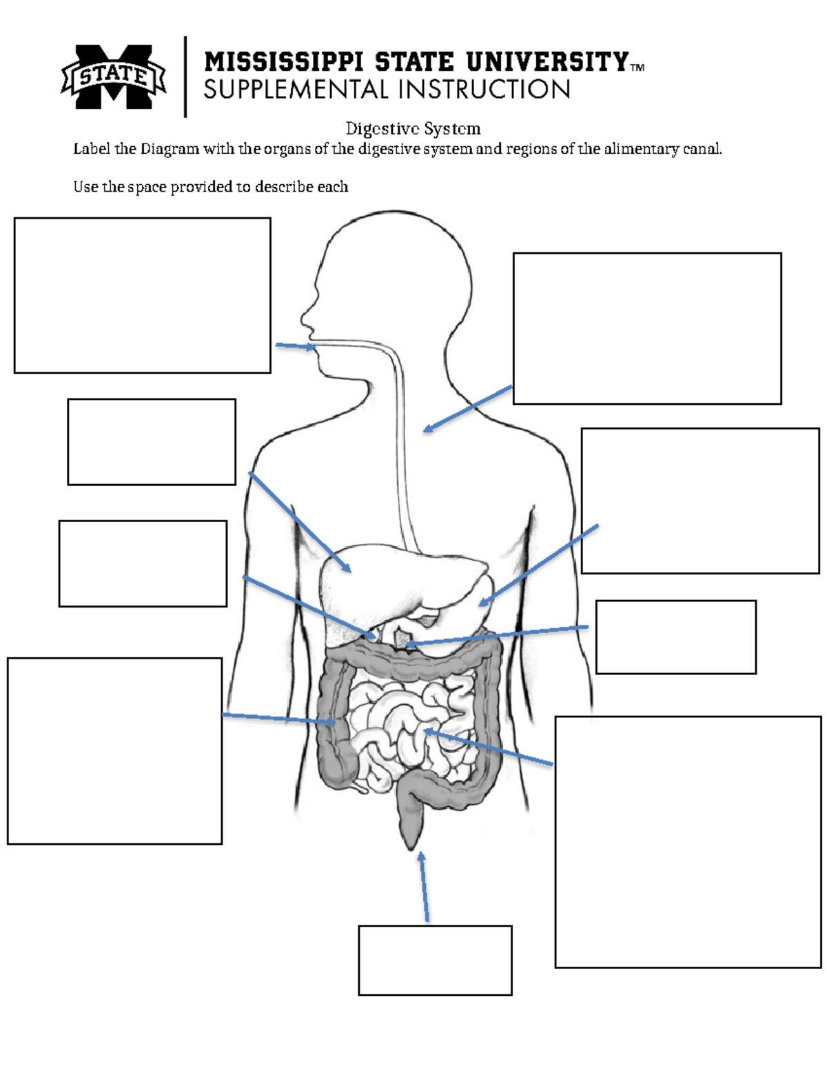 Digestive System Wk St F24 - BIO 1144 - Digestive System Label the ...