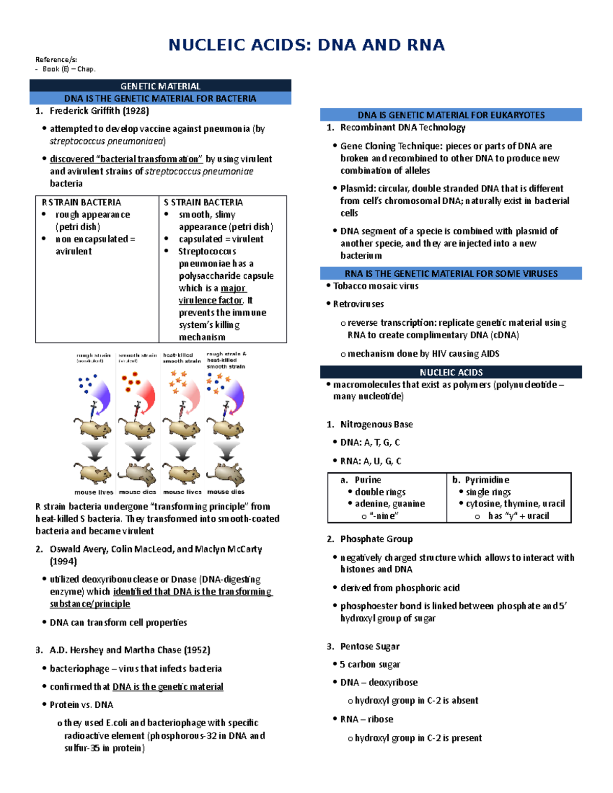 Molecular Biology Midterms - NUCLEIC ACIDS: DNA AND RNA Reference/s ...