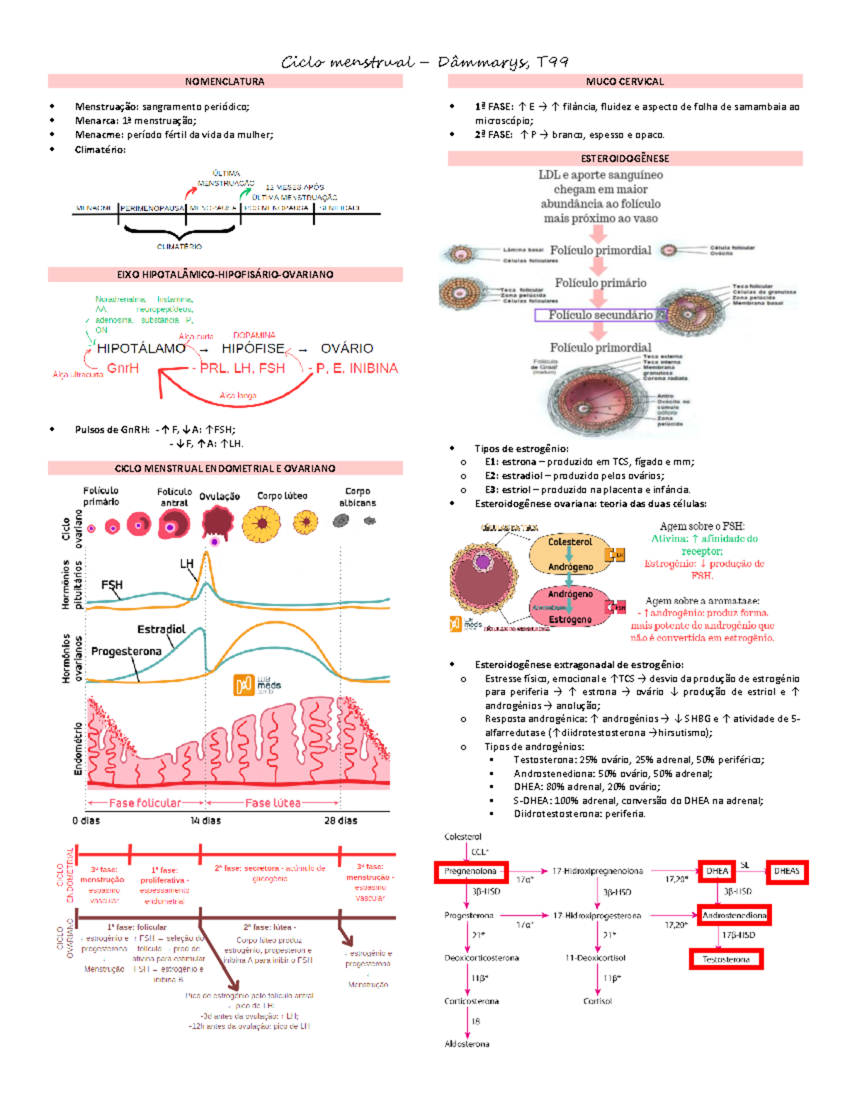Ciclo Menstrual - CICLO MENSTRUAL ENDOMETRIAL E OVARIANO MUCO CERVICAL ...