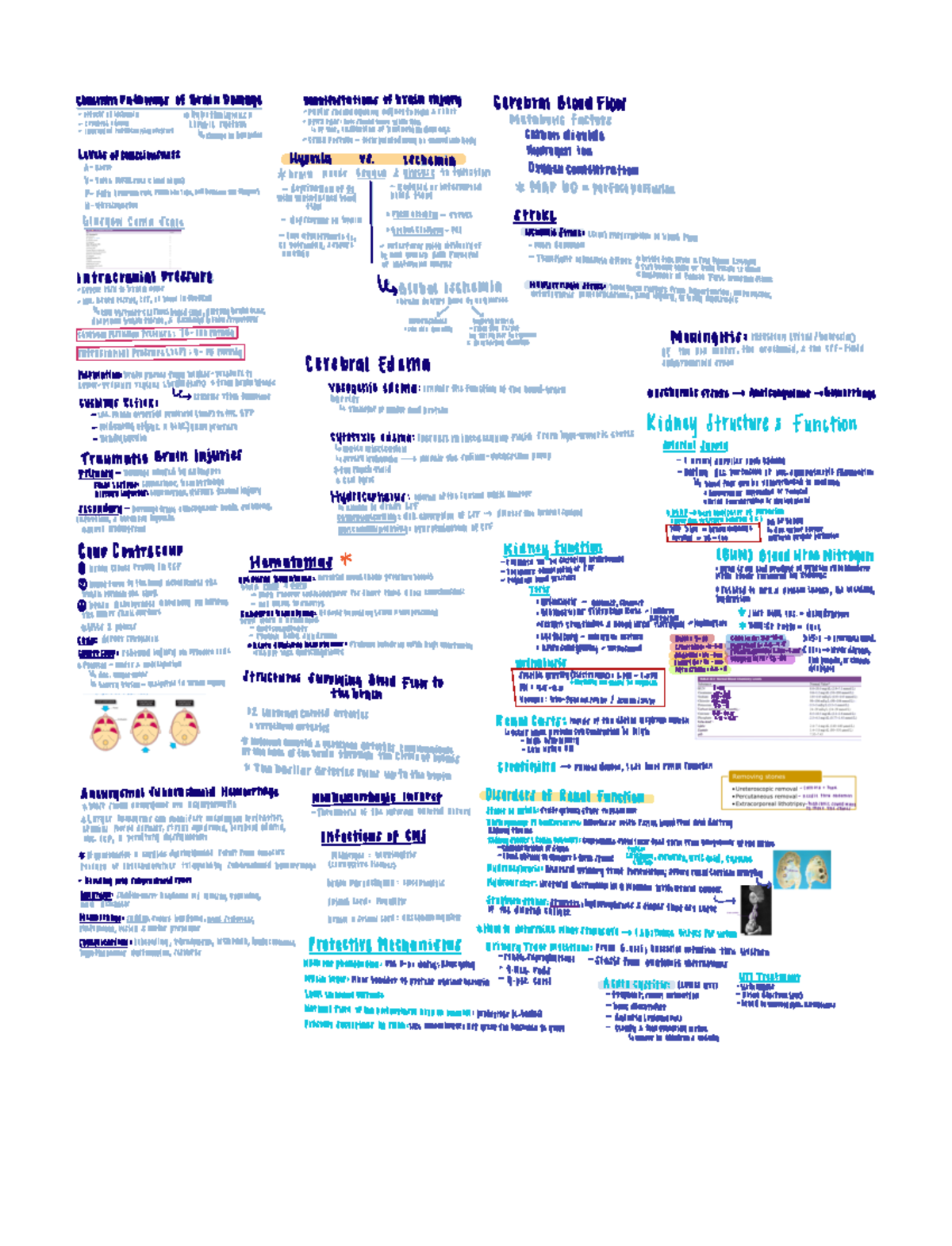 Unit 3 Pathophysiology - cutekidneyInjuryS acidBaseBalance ArterialBloodGases - Studocu