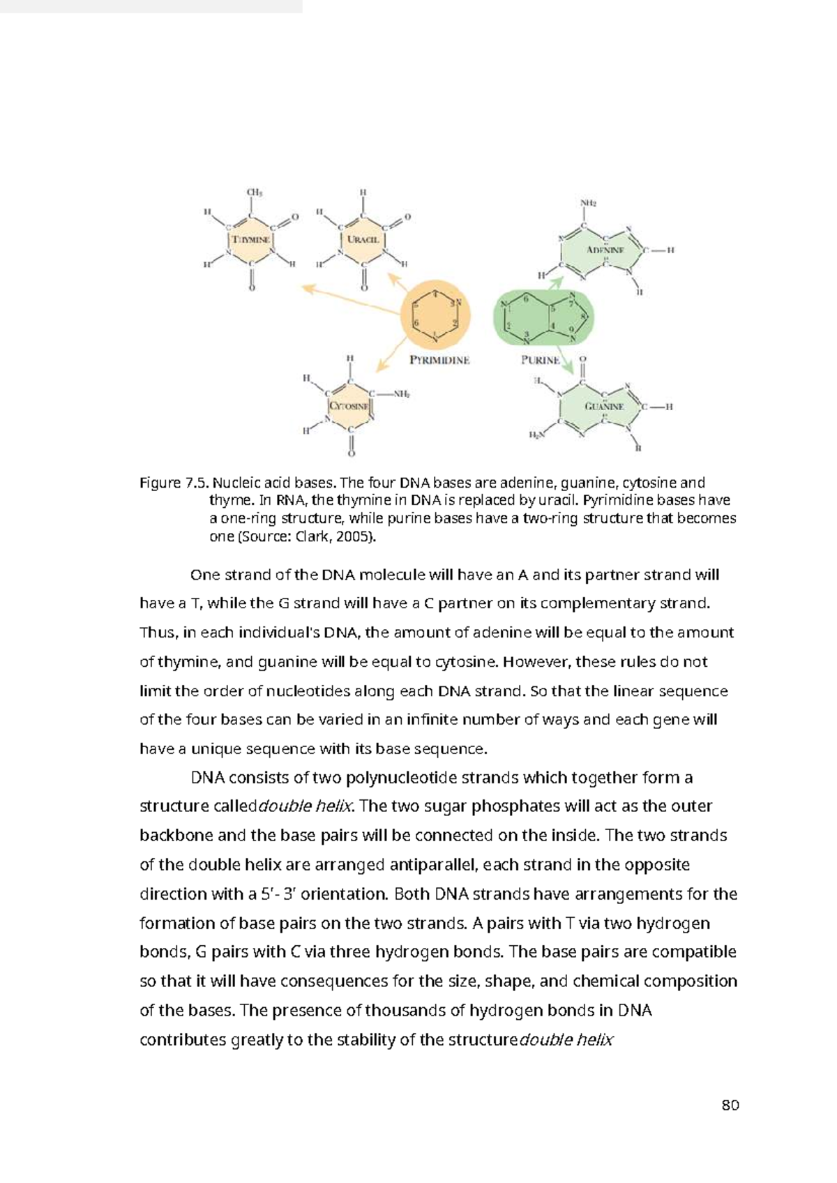 Biology - Figure 7. Nucleic acid bases. The four DNA bases are adenine ...