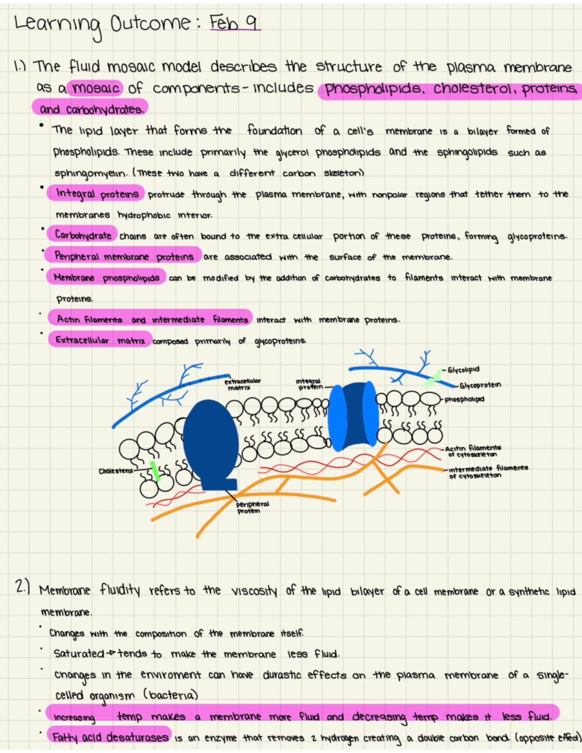 Notes 7 - Learning outcome - BIOL1081 - Studocu
