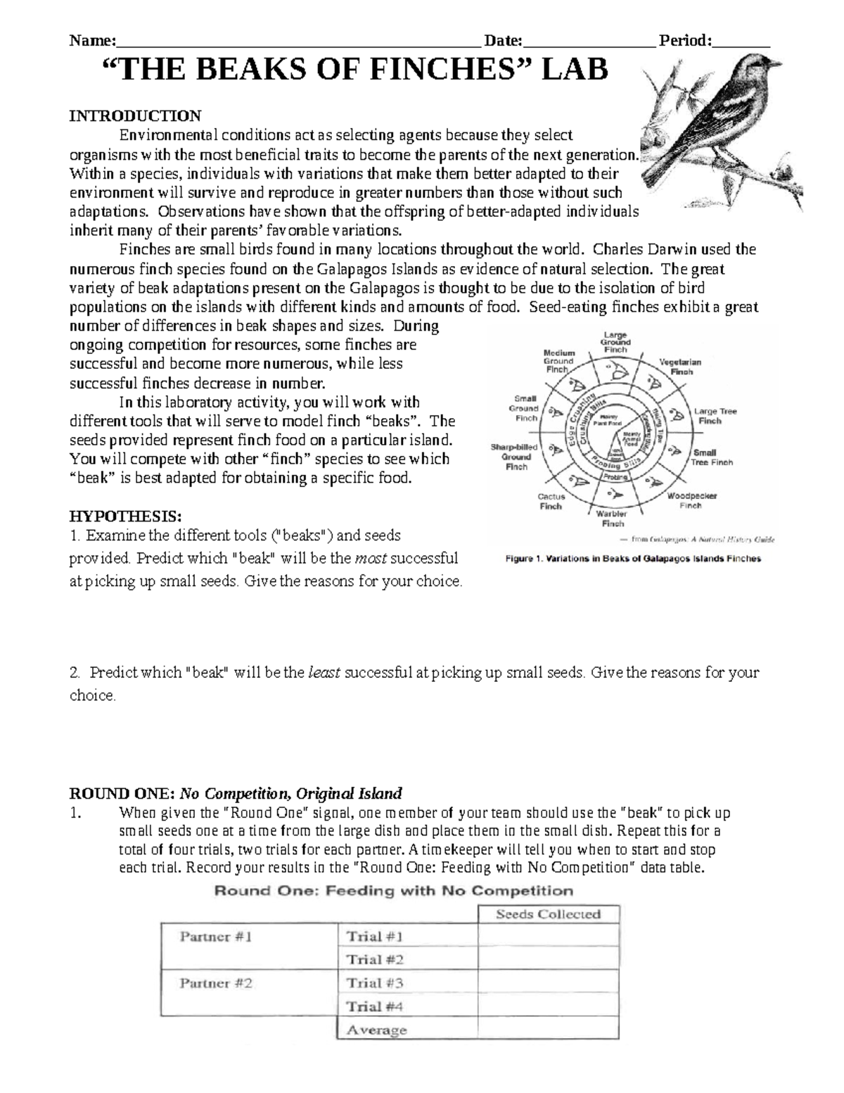 657149474 14 Answer Key Beaks of Finches Lab - Name