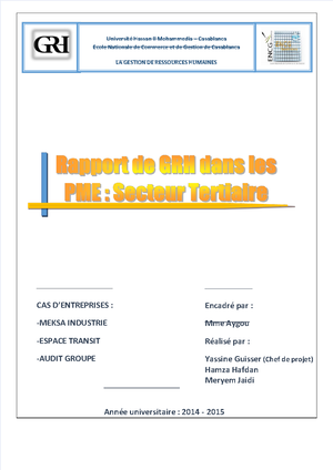 PFE Contribution d'audit interne à la performance d'entreprise - UNIVERSITÉ IBN TOFAIL – KÉNITRA ...