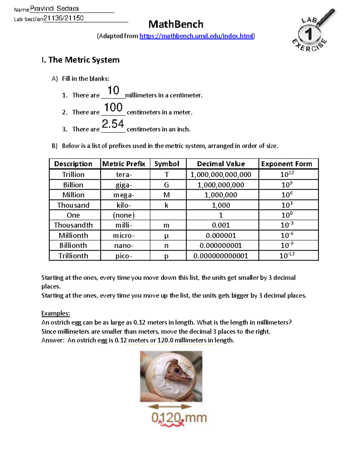 Pravindi Sedara Lab Homework Graphing Skills - MathBench (Adapted from mathbench.umd/index.html ...