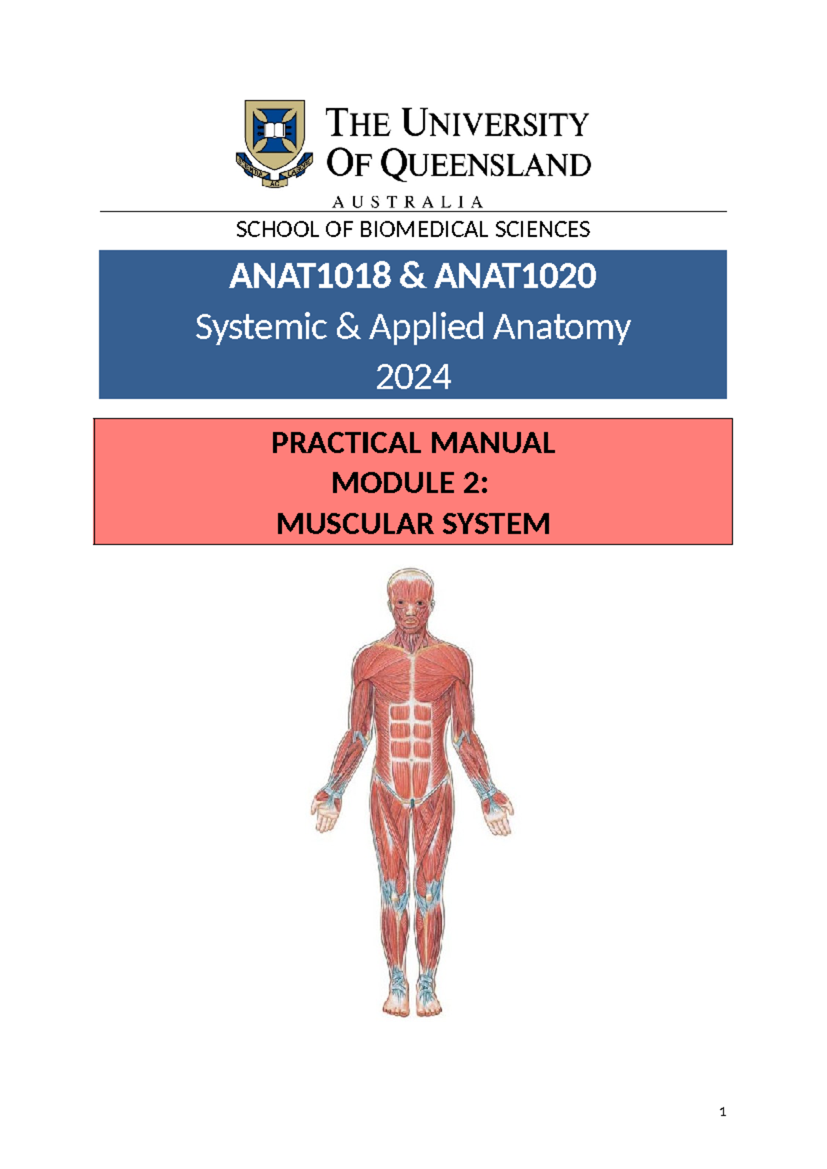 ANAT1018-1020 2024 Pracs MOD2- Muscular Complete v6 - SCHOOL OF ...