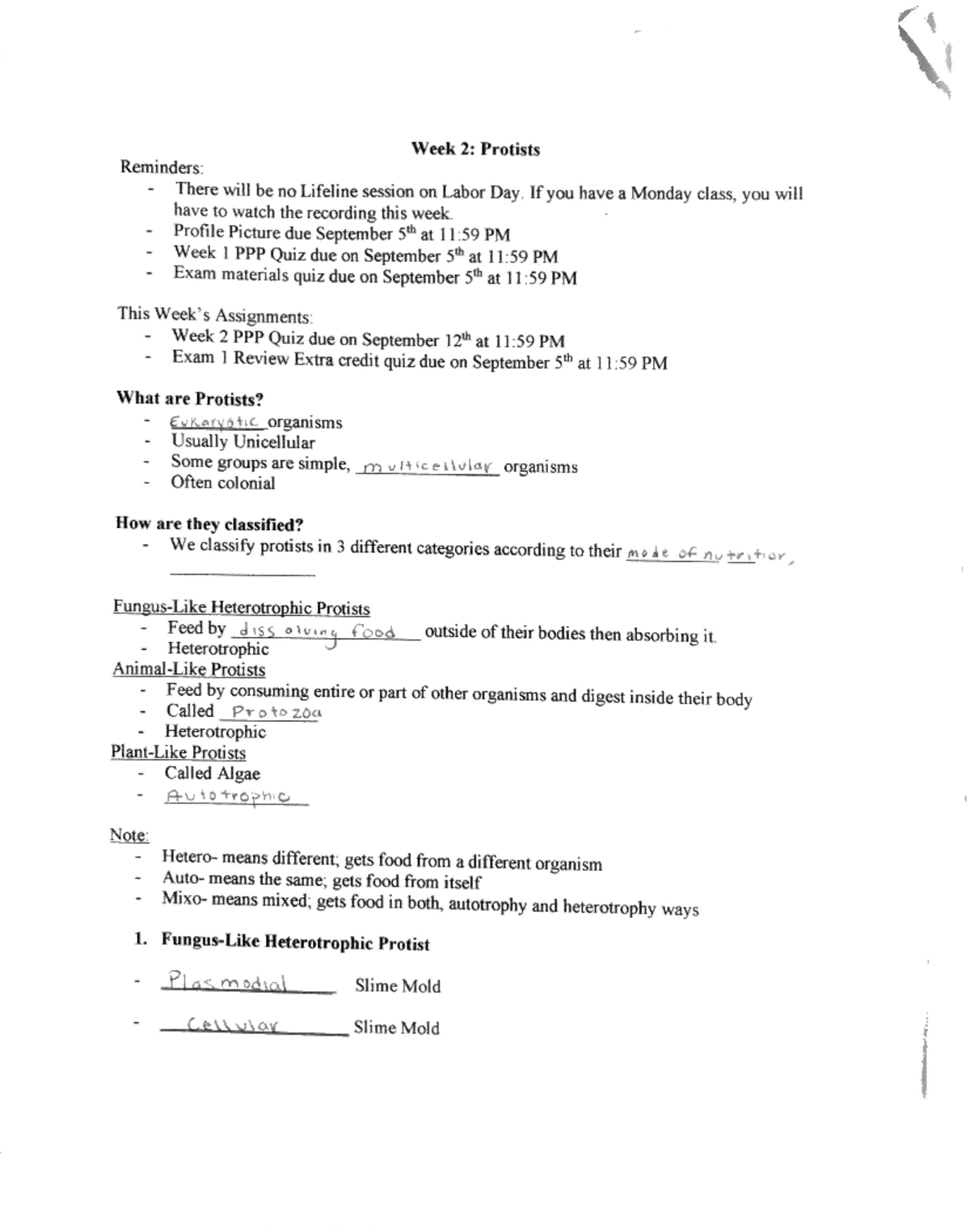 Protists study guide - BSC 1011 - Studocu