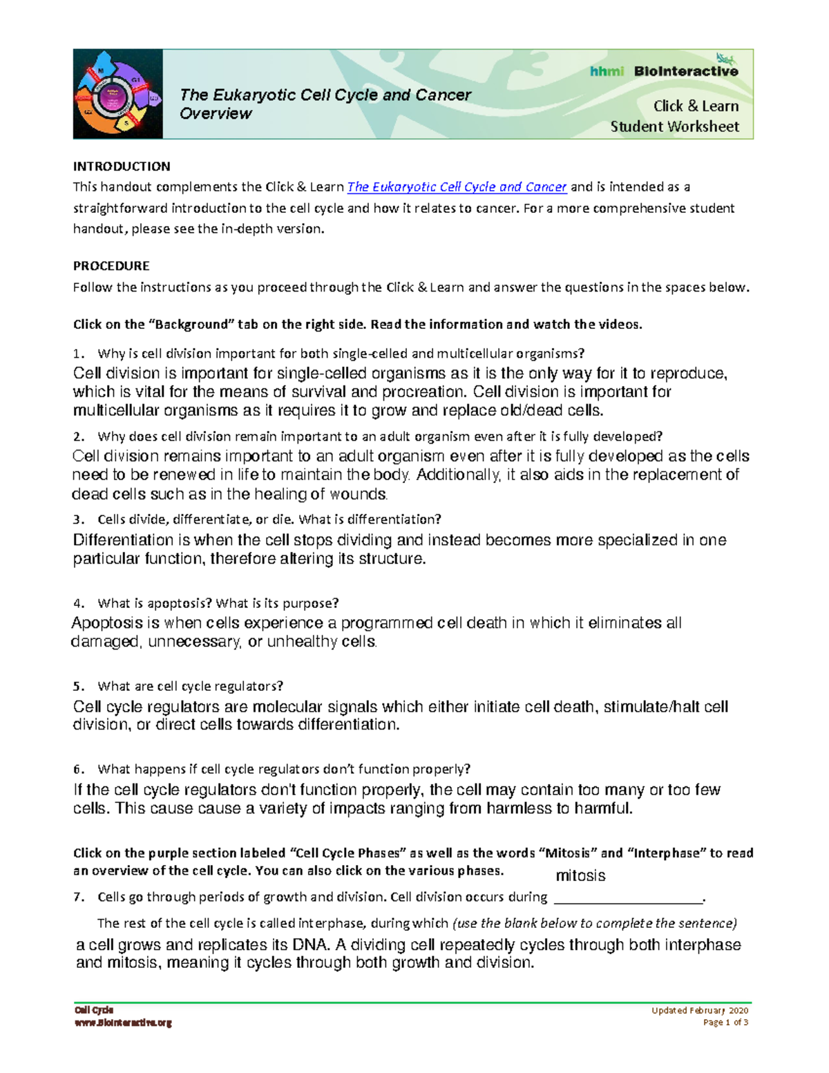 Cell Cycle Overview - Click & Learn Student Worksheet The Eukaryotic ...