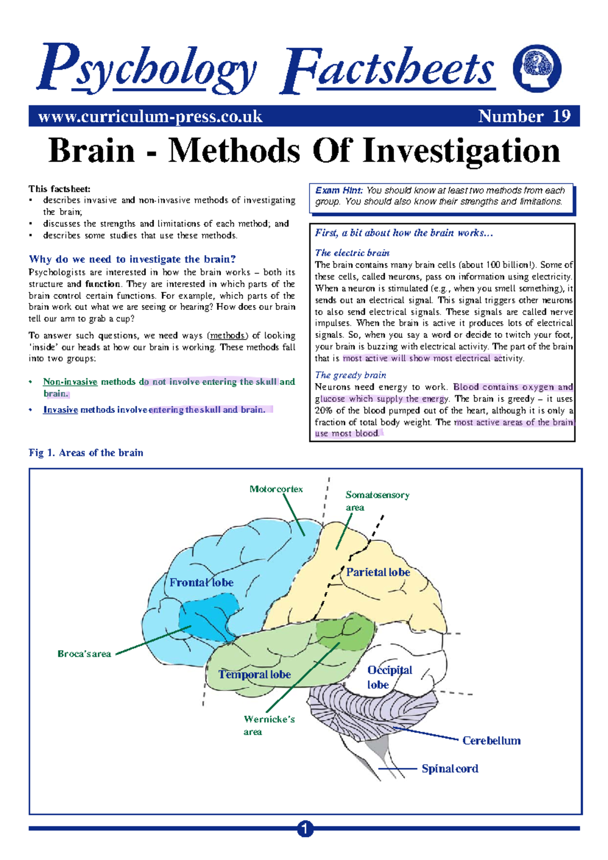 19-Brain-investigation - curriculum-press.co Number 19 F sychology P ...