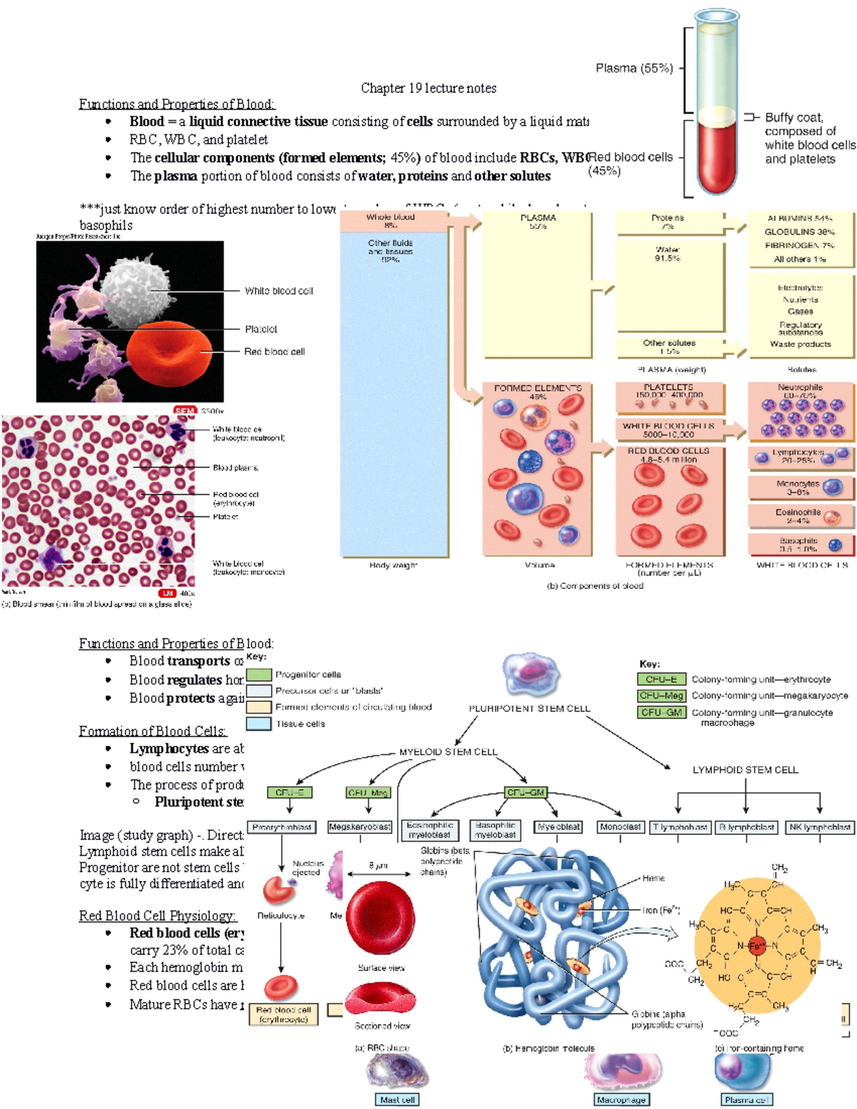 Chapter 19 lecture notes - Chapter 19 lecture notes Functions and ...
