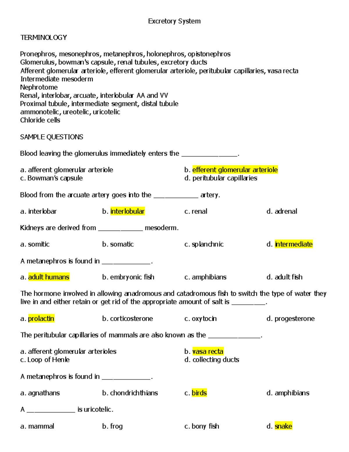 Excretory - Exam 5 questions and answers - Excretory System TERMINOLOGY ...