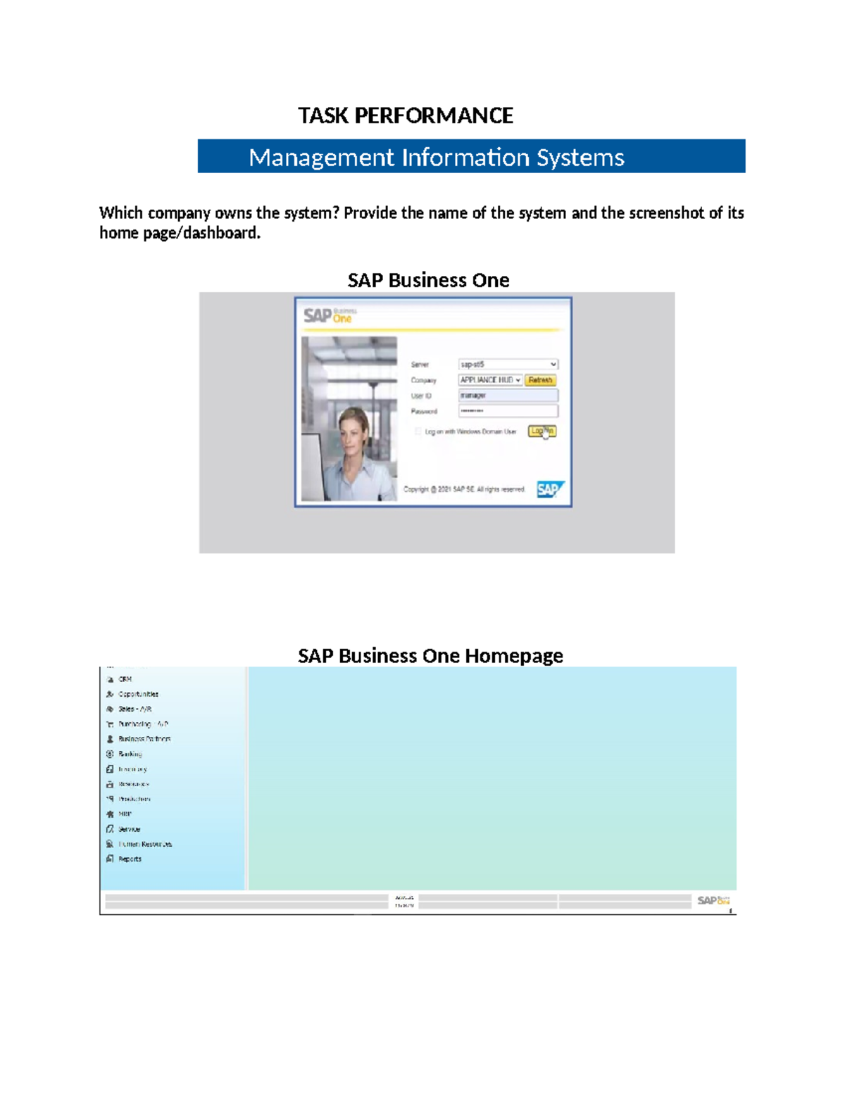 03 Task Performance - TASK PERFORMANCE Management Information Systems Which company owns the ...