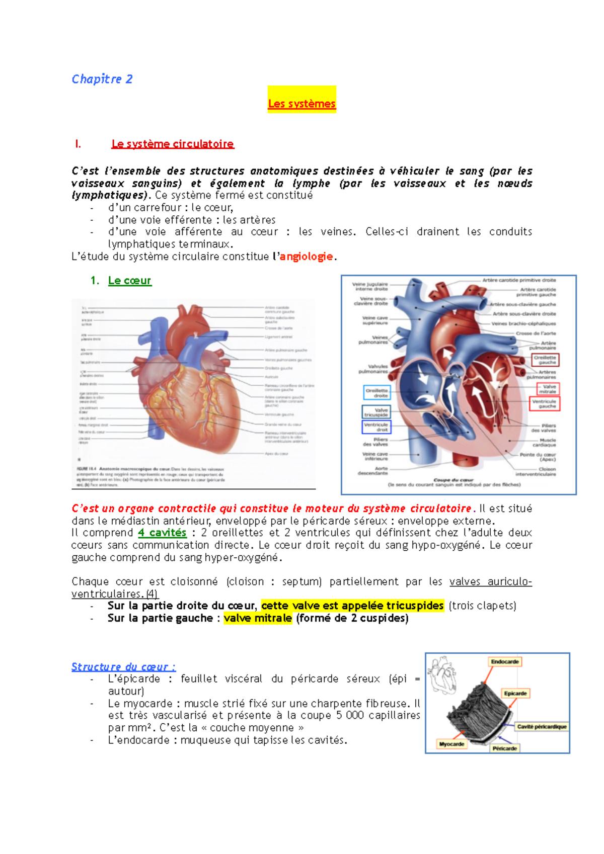 Anat 15 - Notes de cours 15 - Chapitre 2 Les systèmes I. Le système ...