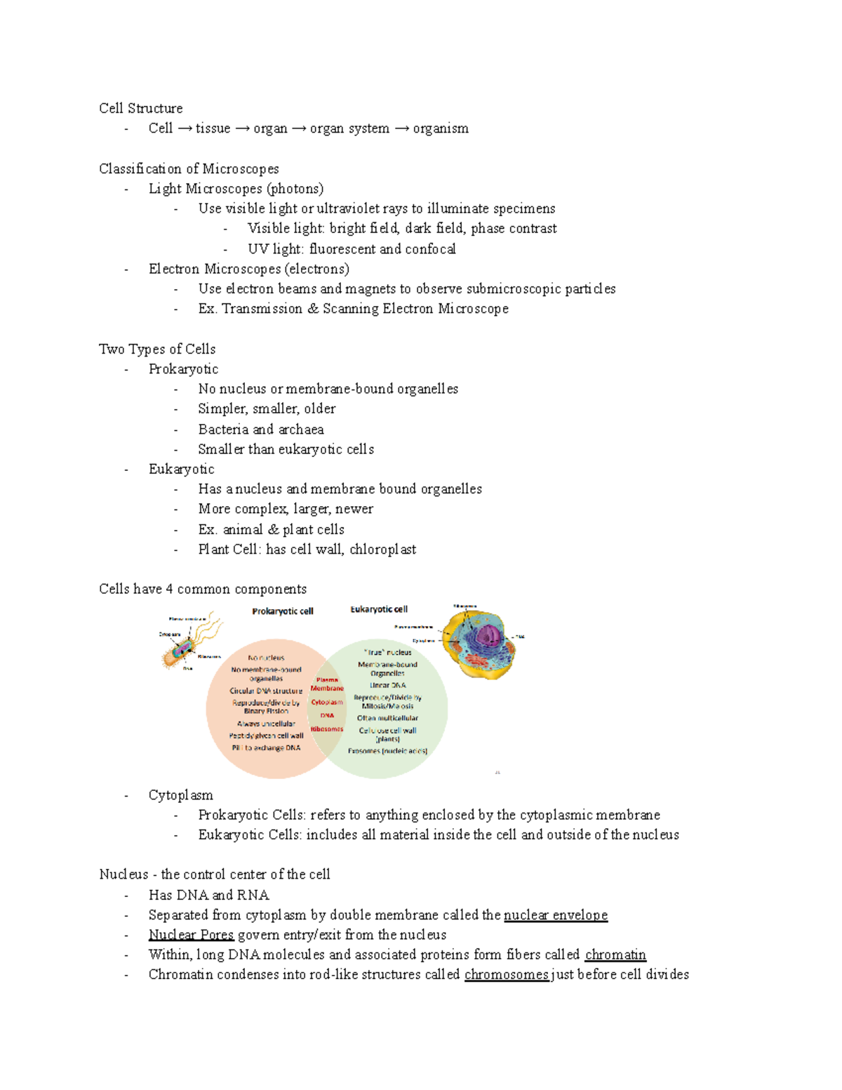 Bio 281 Chapter 4 Reading Notes - Cell Structure - Cell → tissue → ...