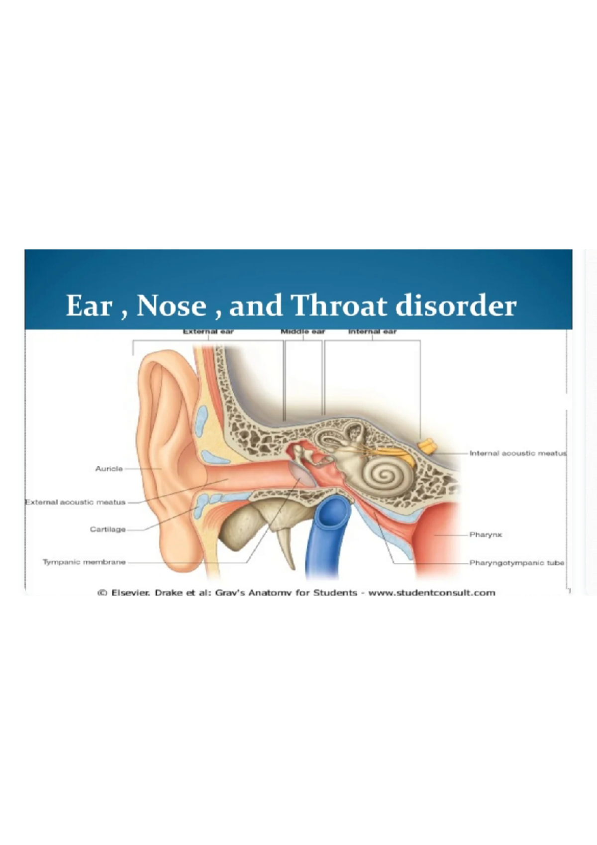ENT(Anatomy of Ear , physiology of hearing) - General nursing - Studocu