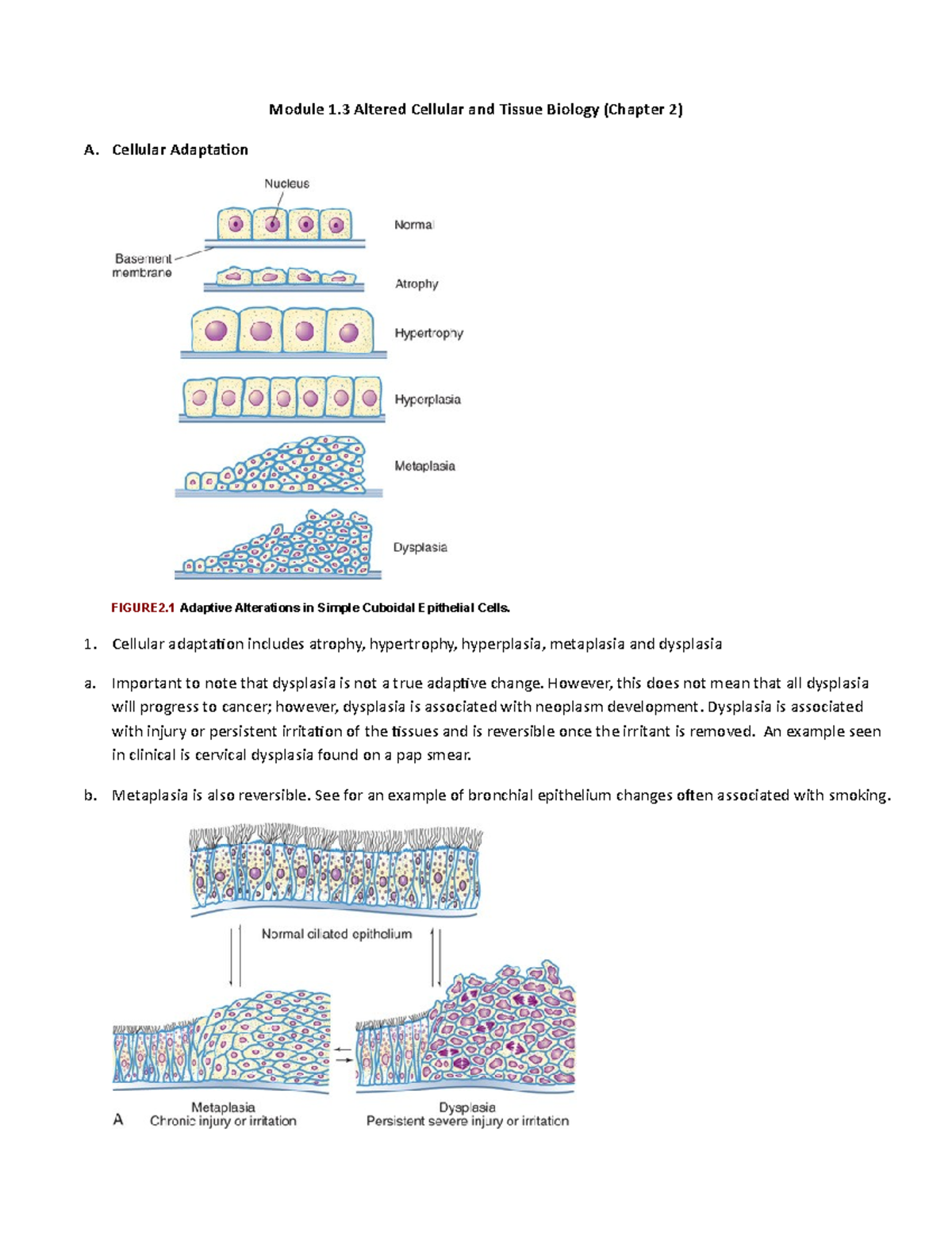 Module 1.3 Content Notes Altered Cellular and Tissue Biology 2021 ...