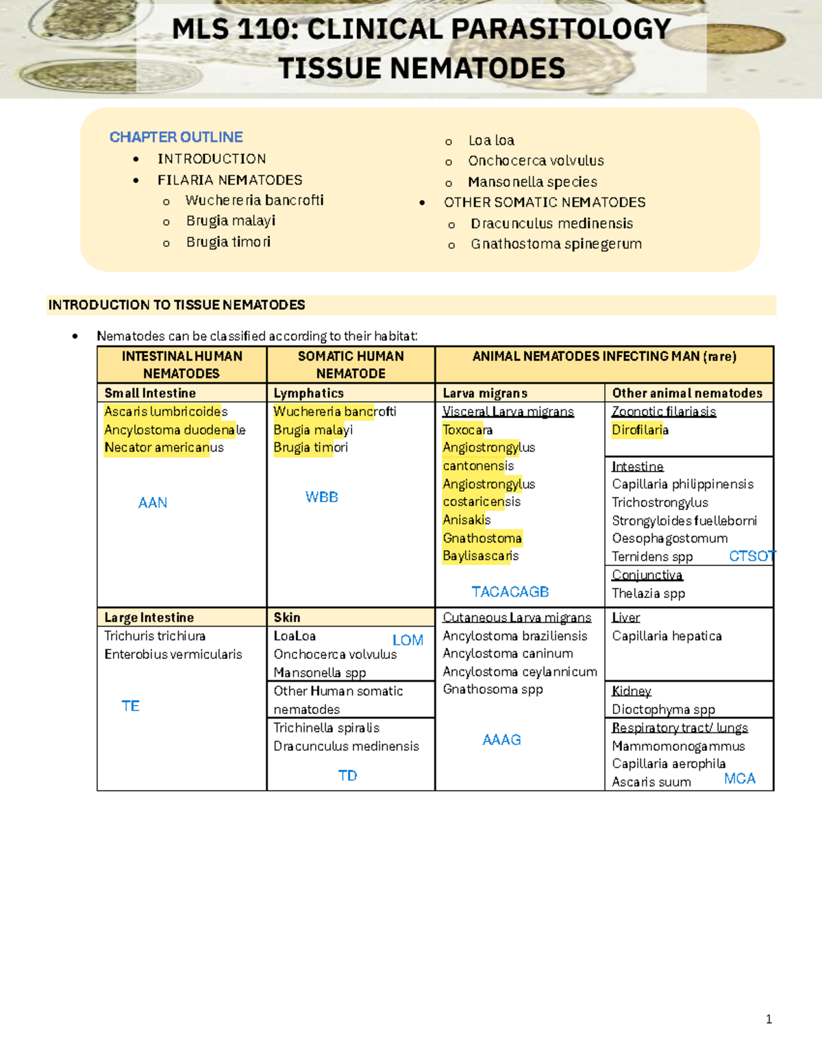 tissue nematode - INTRODUCTION TO TISSUE NEMATODES • Nematodes can be ...