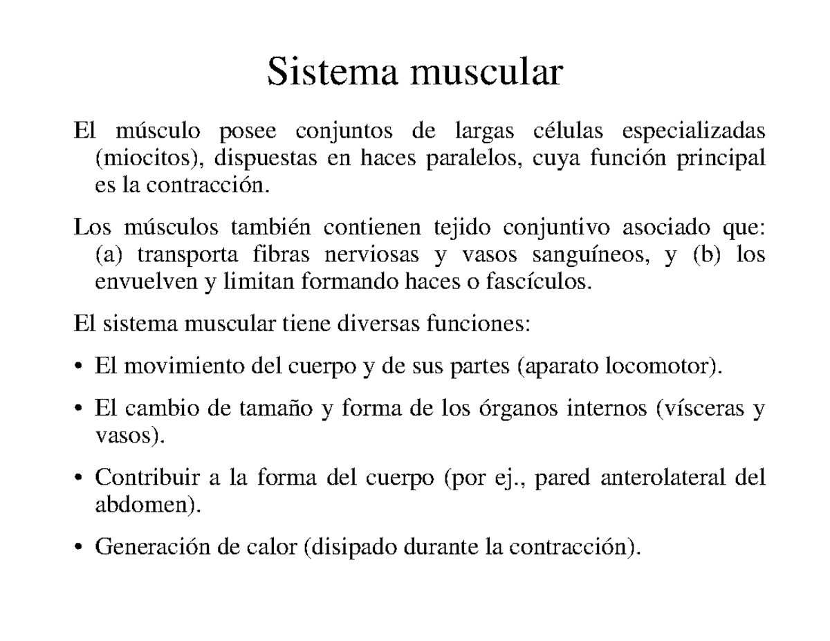 Tejido Muscular - Sistema muscular El músculo posee conjuntos de largas ...
