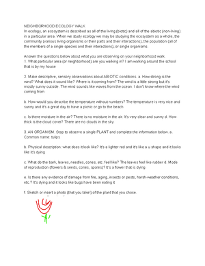 Animal Cell Model Lab - Make a 3D model of the cell using household ...