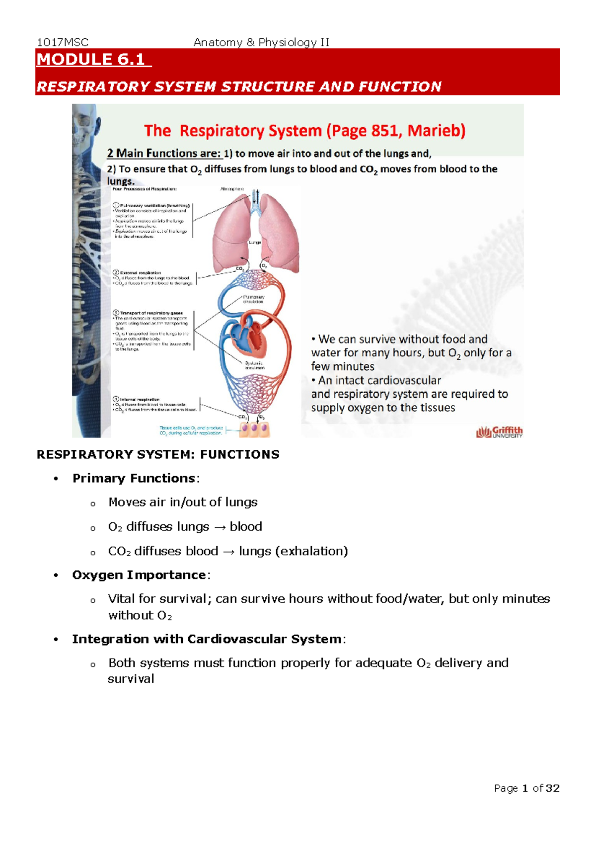 Module 6.1 Lecture Notes - MODULE 6. RESPIRATORY SYSTEM STRUCTURE AND ...