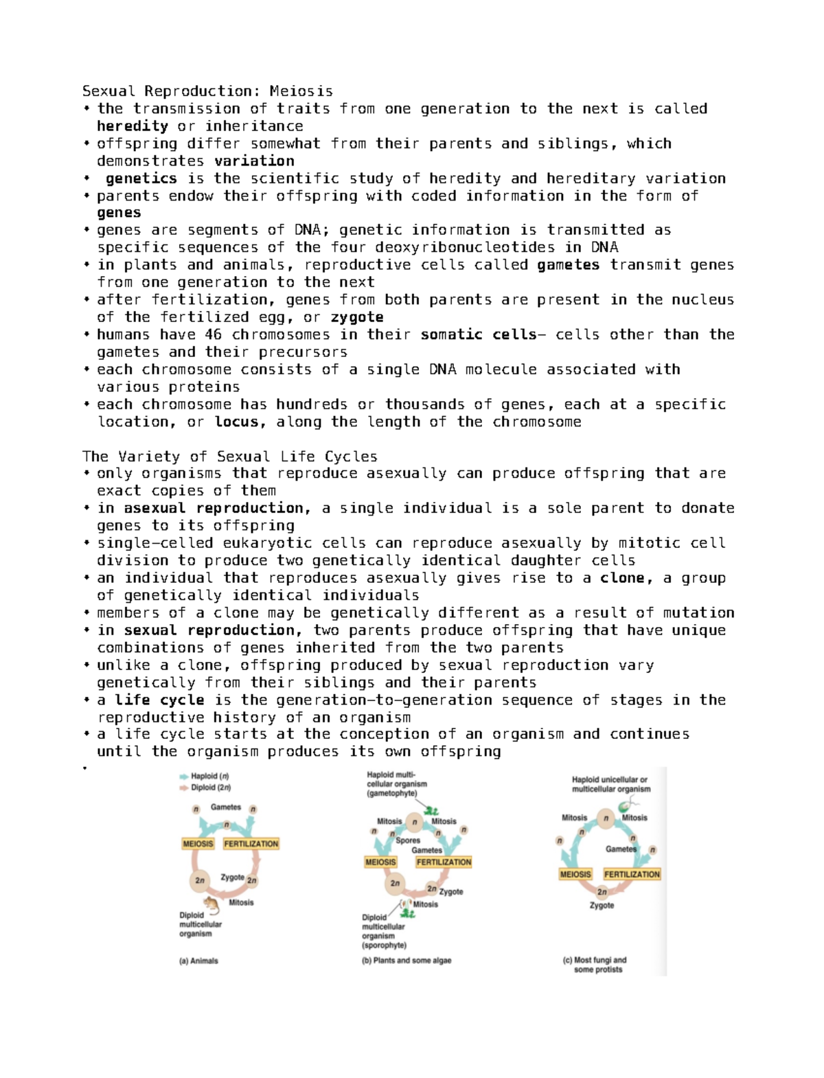 Chapter 13 Sexual Reproduction - Sexual Reproduction: Meiosis the ...