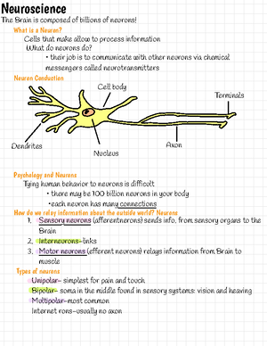 The Brain Is Composed of Billion of Neurons 3 - Communication within a ...