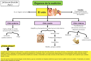Reflejos patológicos - Reflejos patológicos De la cabeza: Reflejo de ...