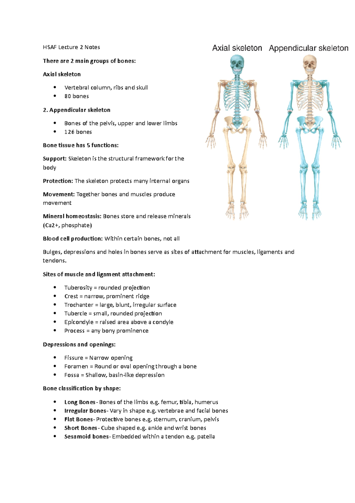 HSAF Lecture 2 Notes - HSAF Lecture 2 Notes There are 2 main groups of ...