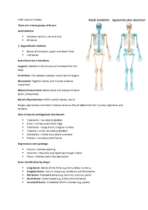 Human Structure AND Function HLTH1000 (Autosaved) - HUMAN STRUCTURE AND ...
