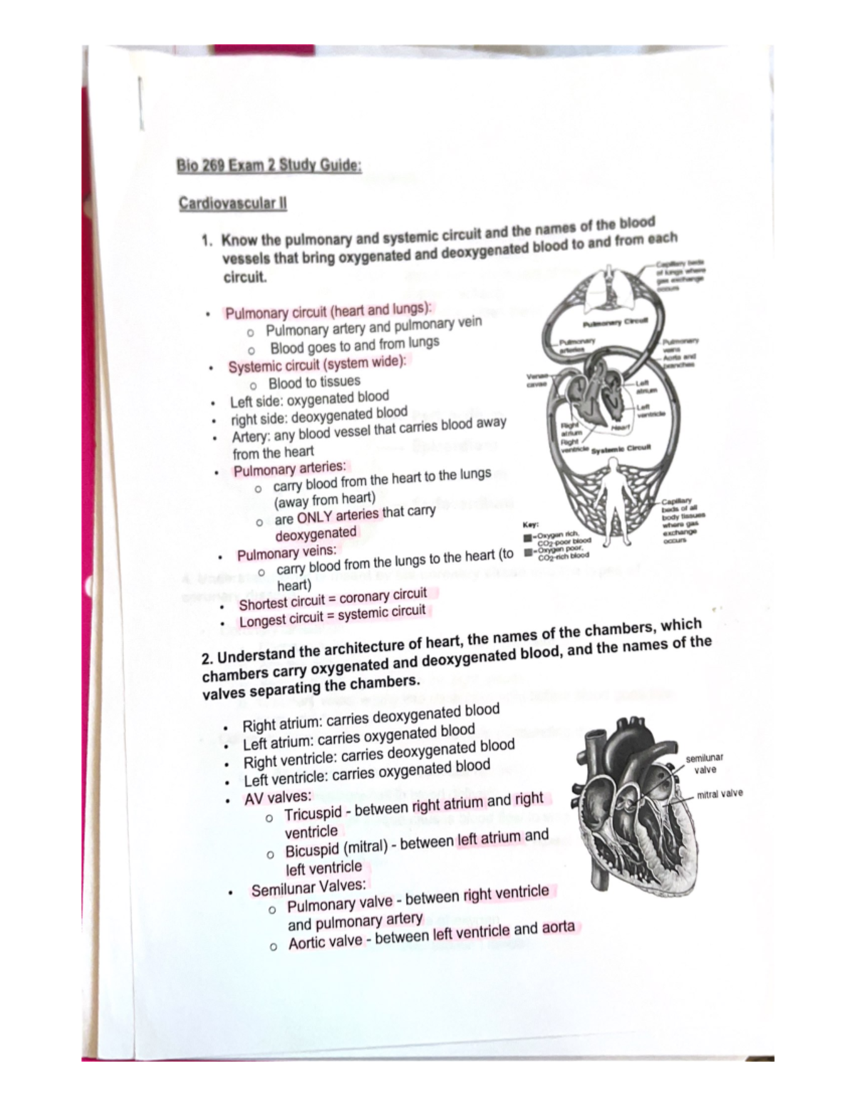 Bio 269 Exam 2 Study Guide - BIO 269 - Studocu