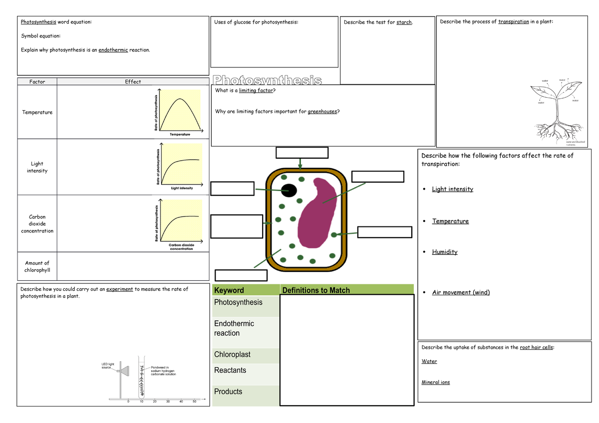 Photosynthesis revision - Photosynthesis word equation: Uses of glucose ...