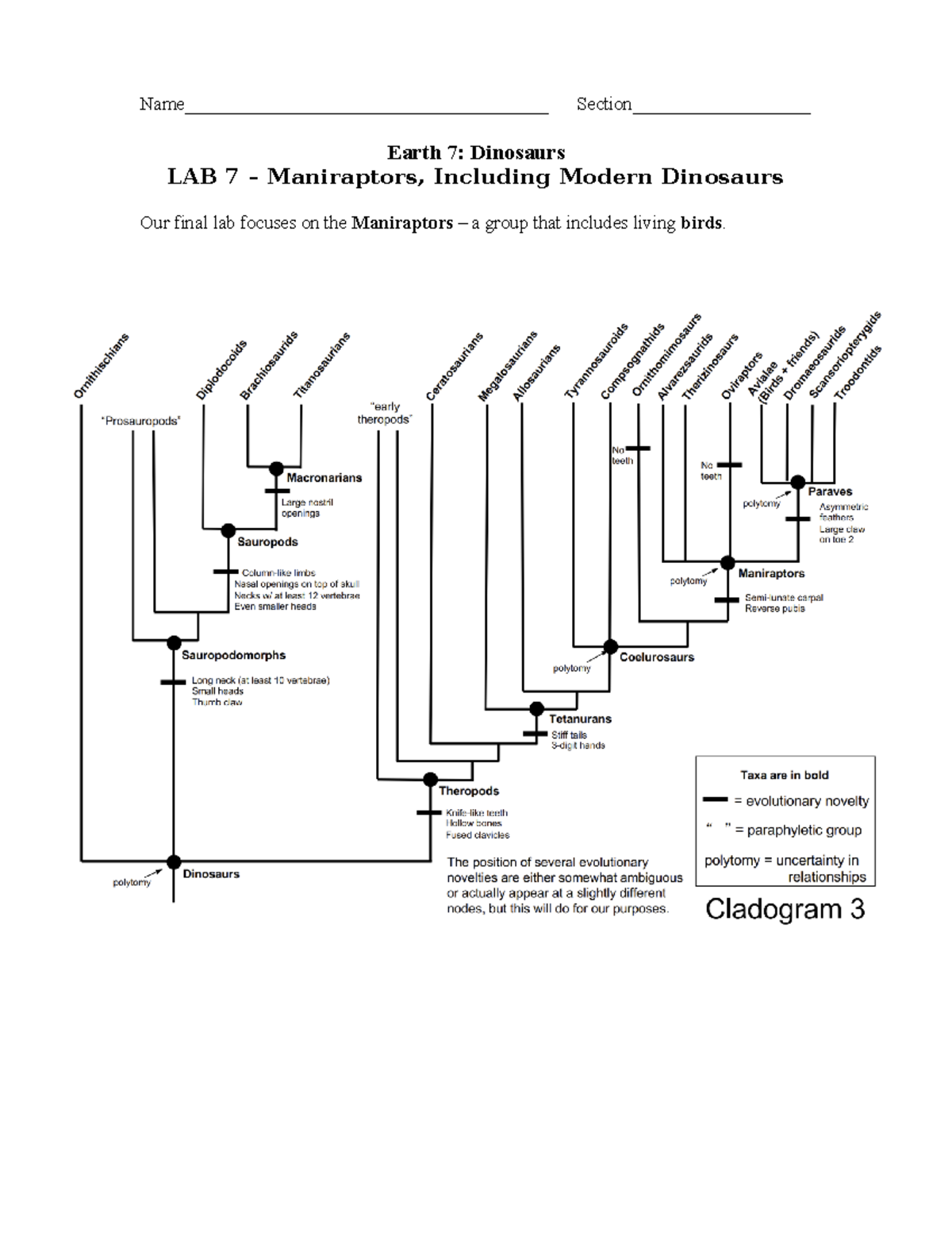 Lab 7 Maniraptors (3) - Lab - Name ...