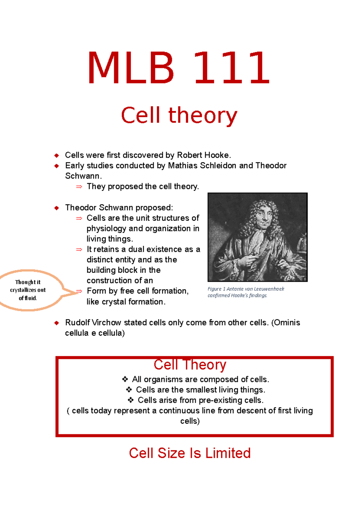 The Cell Theory - MLB 111 Cell theory Cells were first discovered by ...