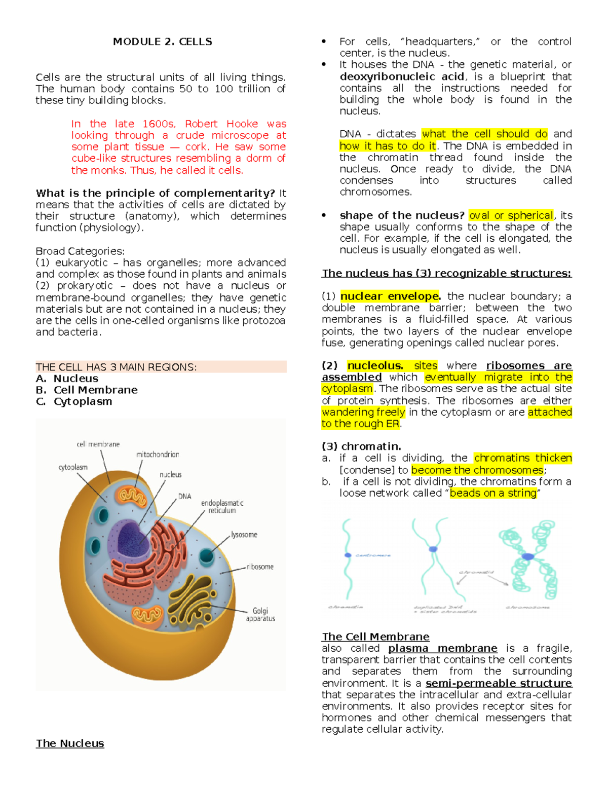 Cellstissues - For assignment purposes. - MODULE 2. CELLS Cells are the ...