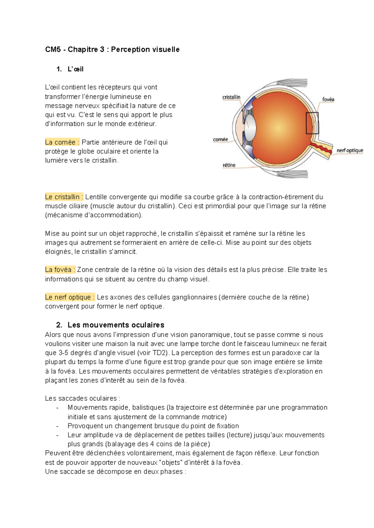 CM5 - Chapitre 3 Perception visuelle - CM5 - Chapitre 3 : Perception ...